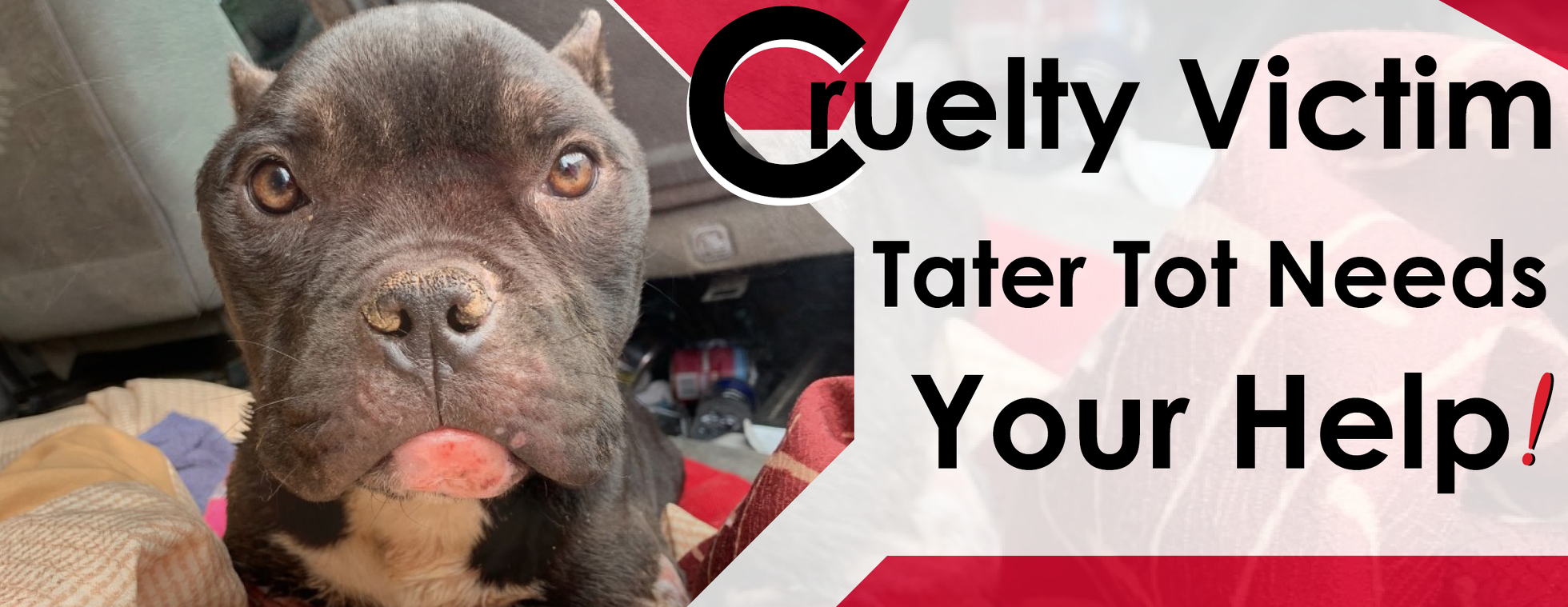 Tater Tot Medical Campaign